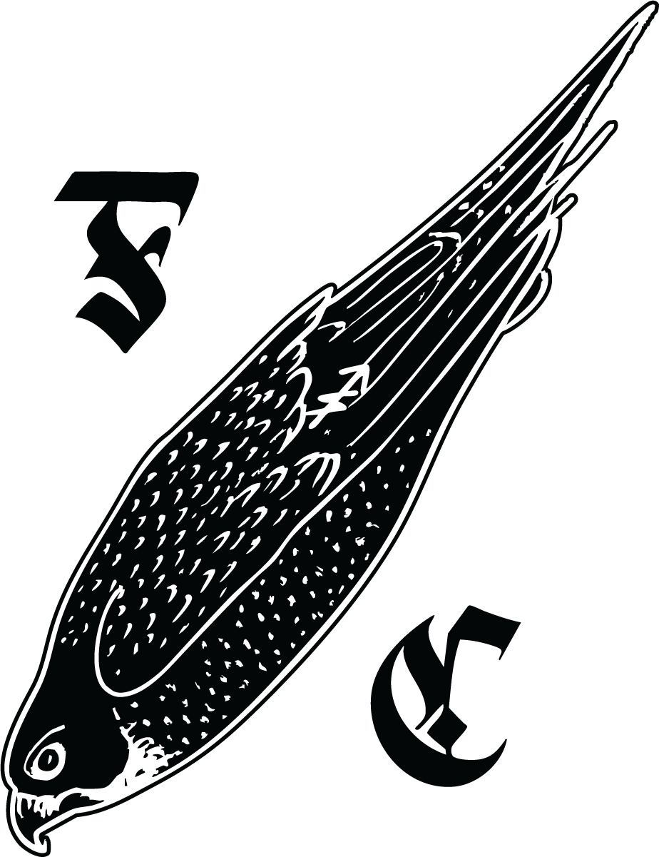 Shirts – Falcon-concepts-apparel